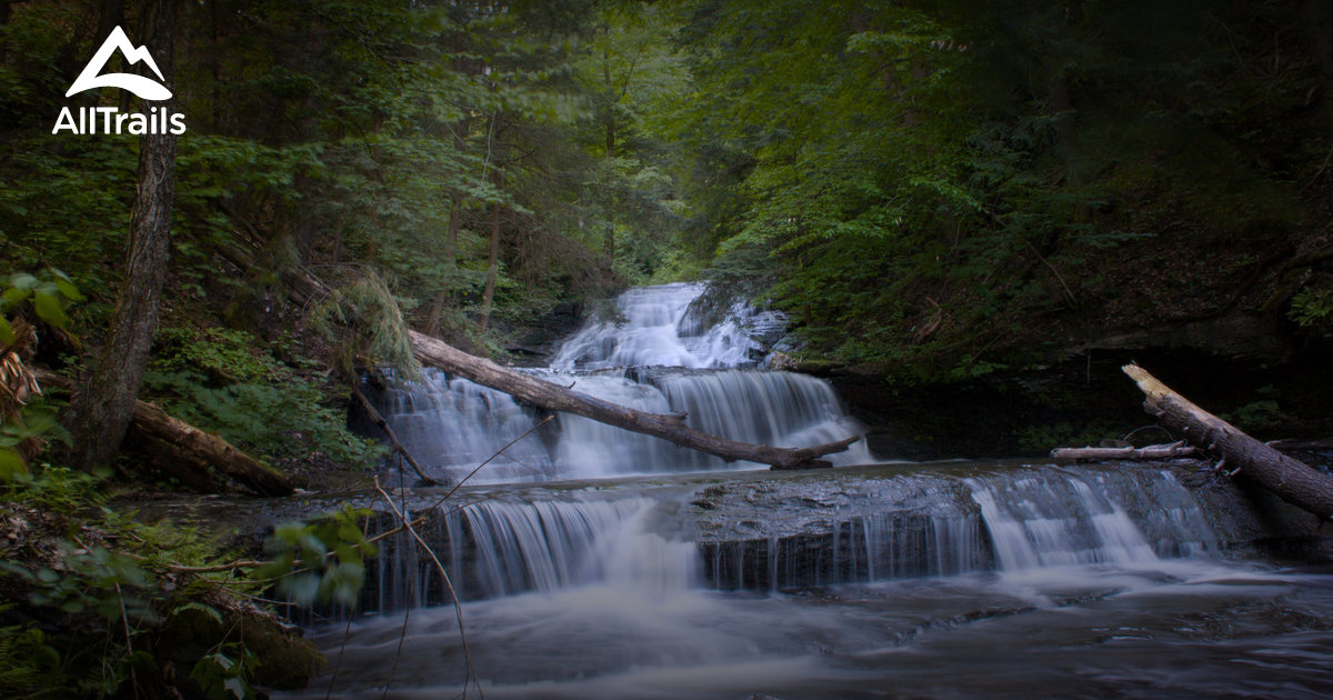 Best waterfall trails in Carpenter Falls Unique Area | AllTrails