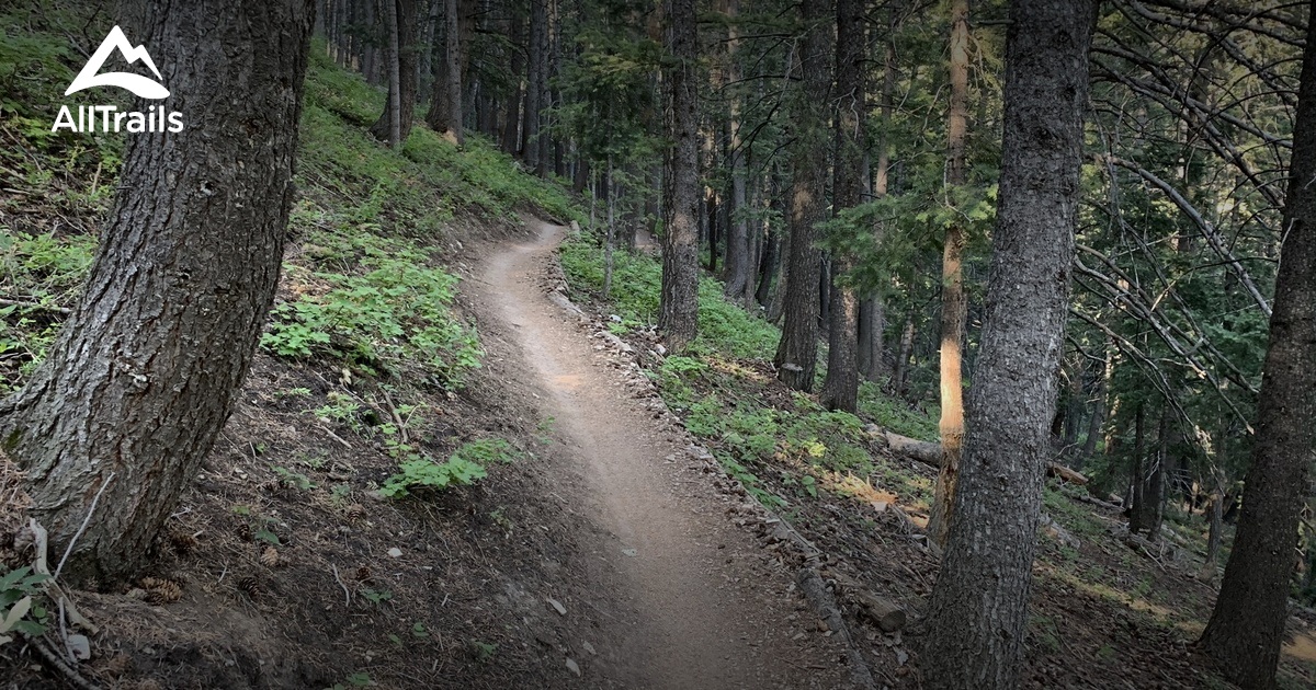 Best forest trails in Summit Park Open Space | AllTrails