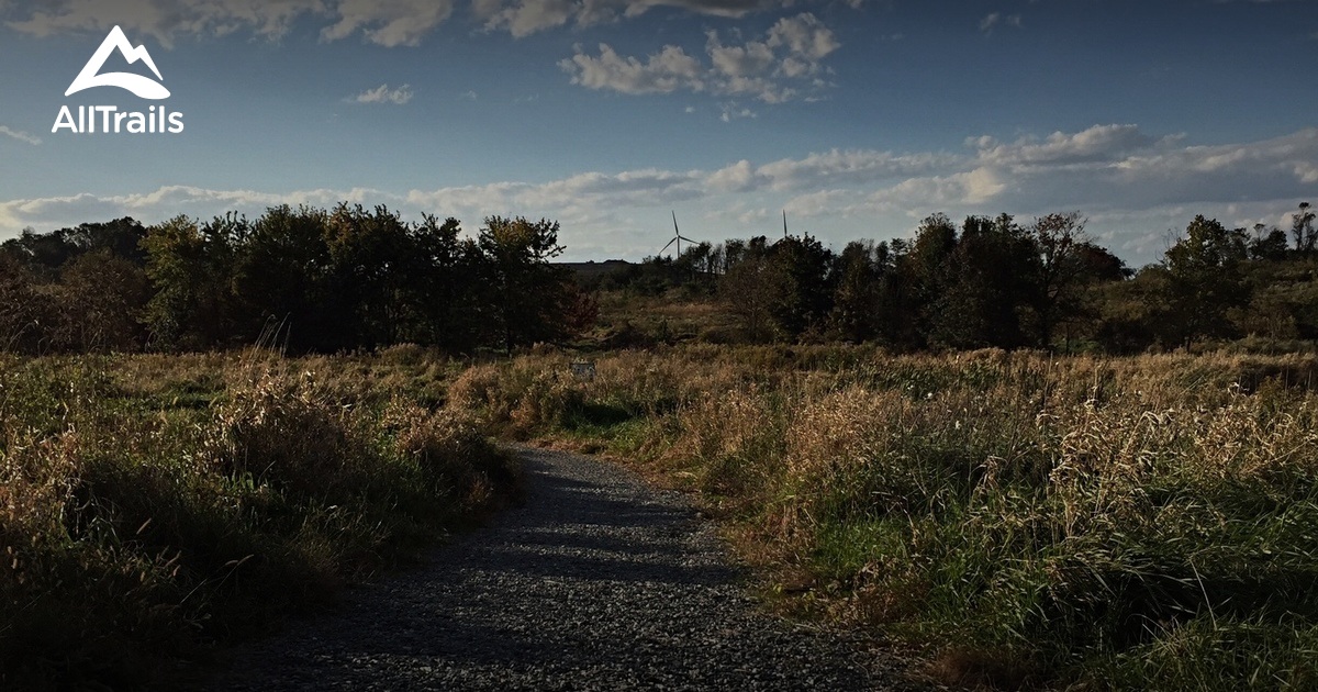 Best Trails in Chestnut Grove Natural Area - Pennsylvania | AllTrails