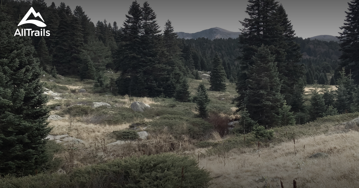 Best hikes and trails in Bursa Uludağ National Park | AllTrails