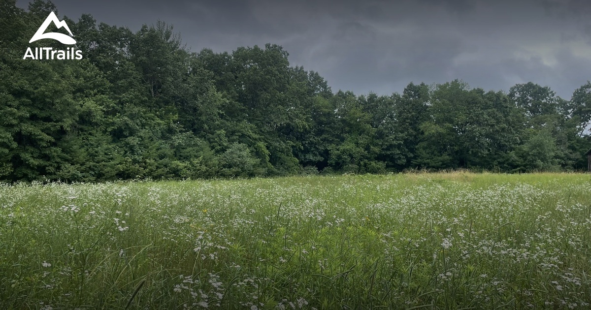 Best Hikes and Trails in McDonald Nature Preserve | AllTrails