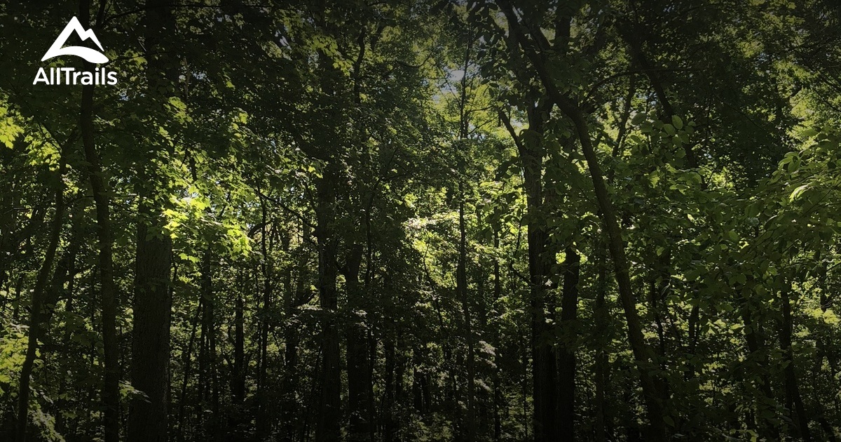 Best views trails in Wintergarden/St.John’s Nature Preserve | AllTrails