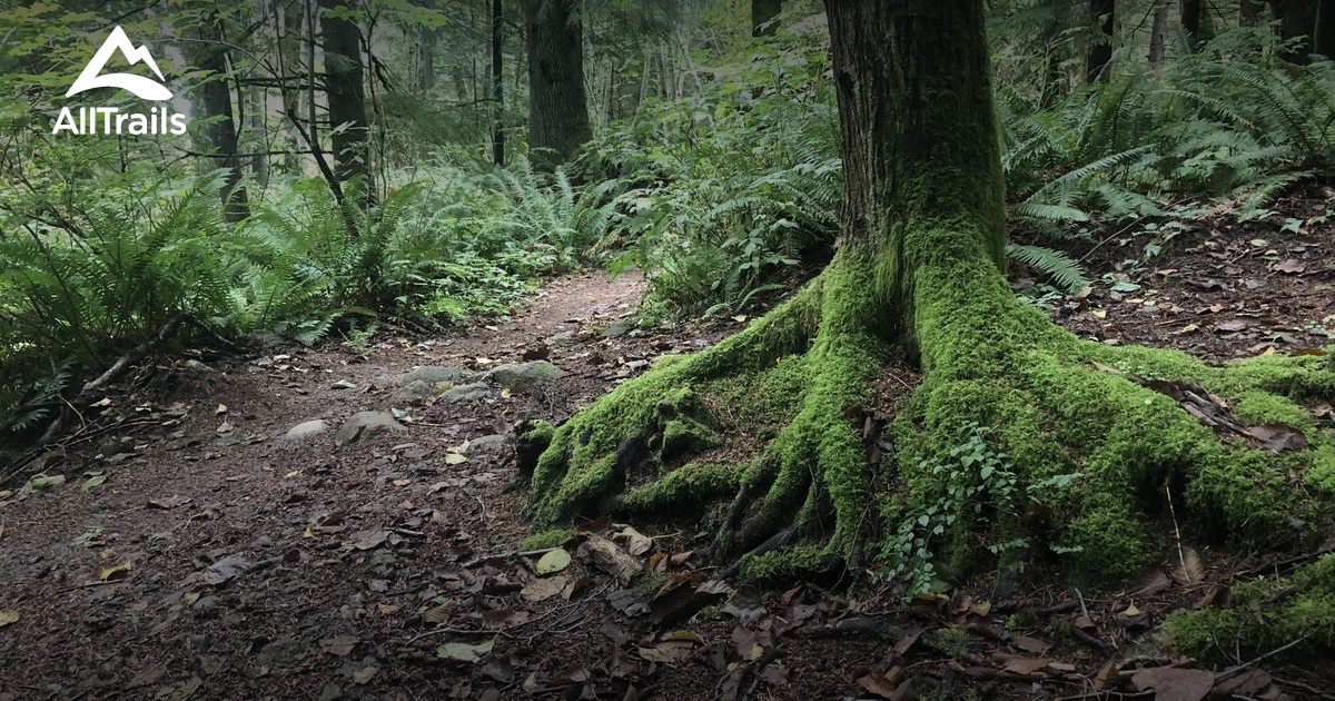 Best walking trails in Raging River State Forest | AllTrails