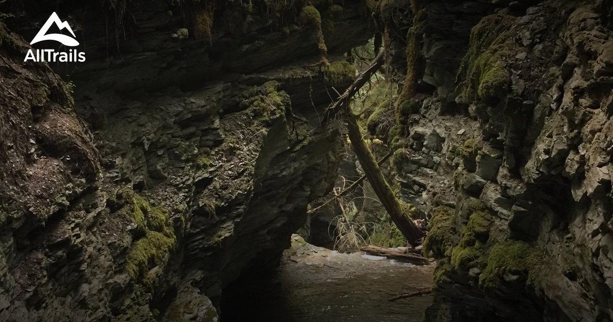 Best Trails in Herald Provincial Park - British Columbia, Canada ...