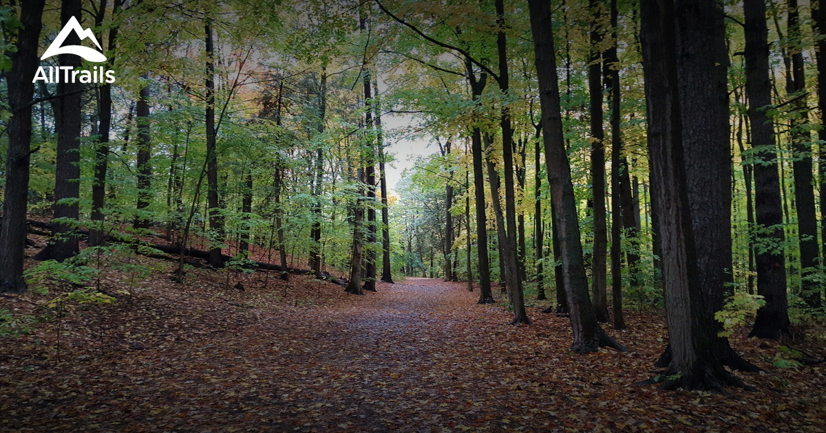 Best hikes and trails in Hanna Park | AllTrails
