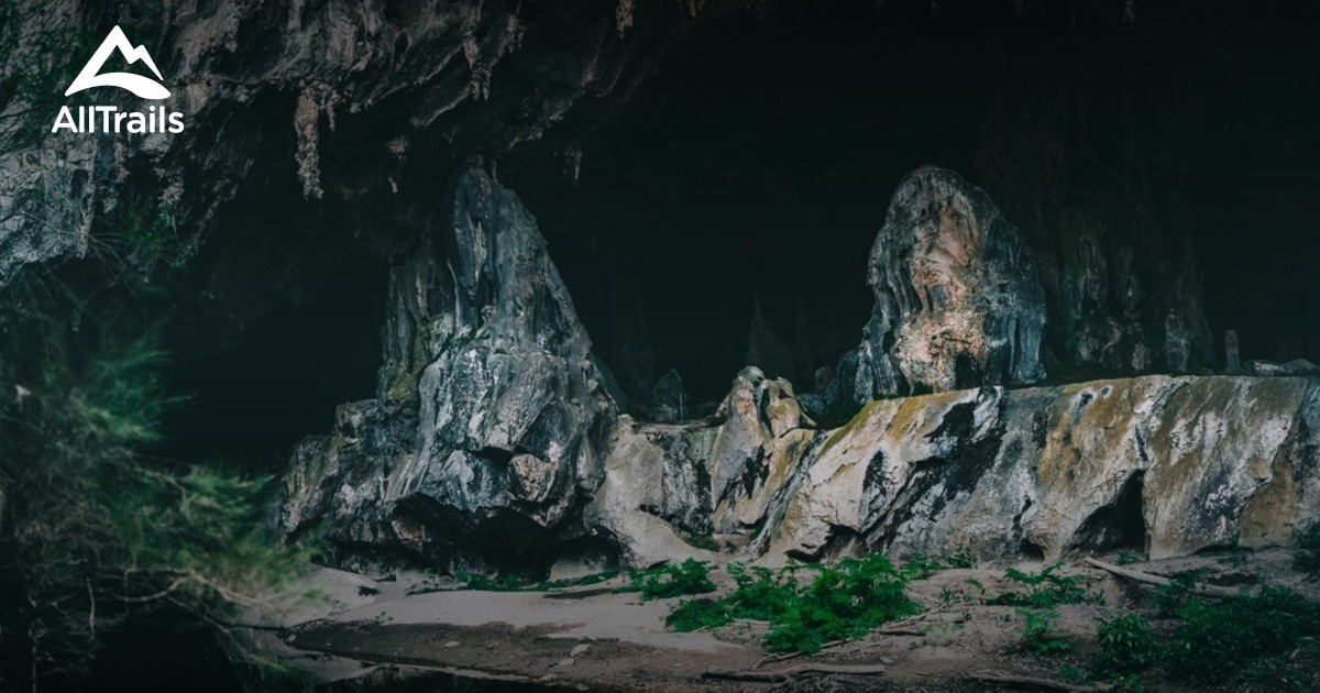 Best hikes and trails in Abercrombie Karst Conservation Reserve | AllTrails