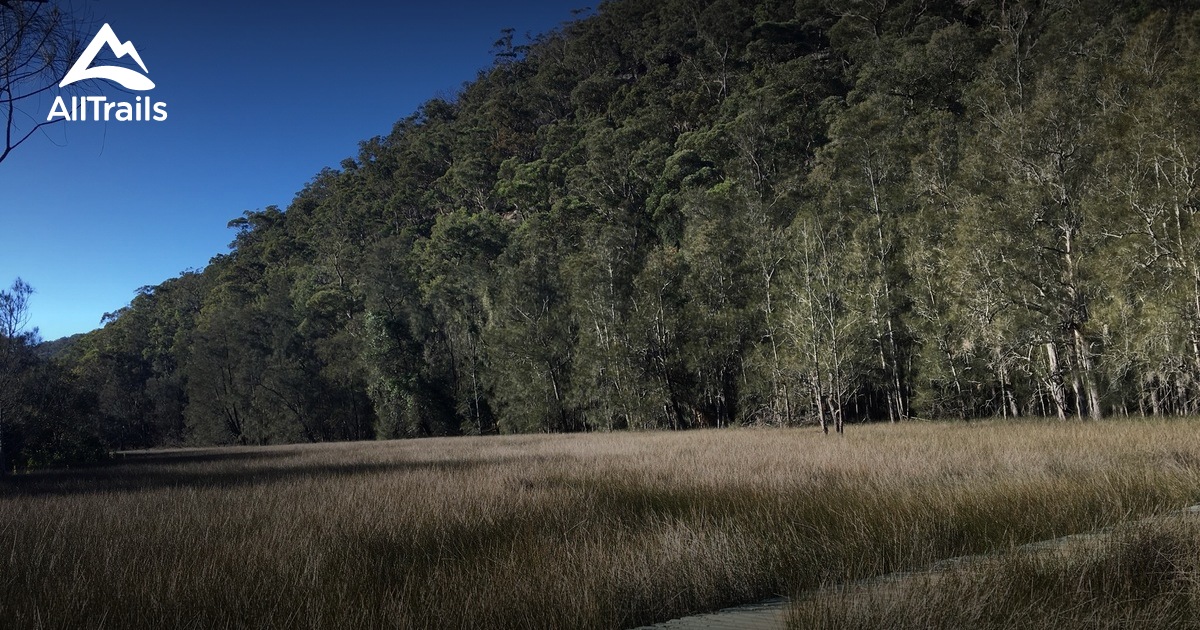 Best Trails in Berowra Valley National Park - New South Wales ...