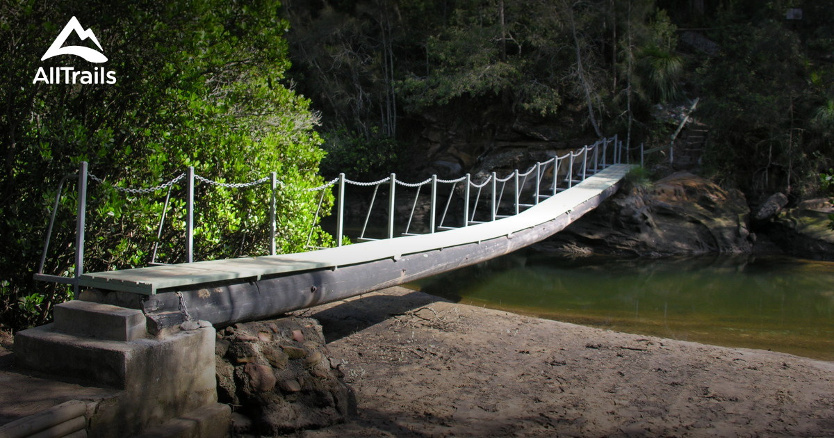 Best Trails in Berowra Valley National Park - New South Wales ...