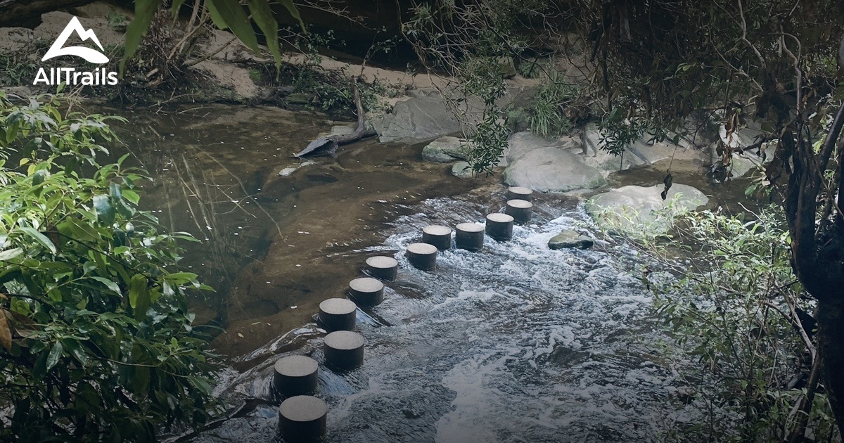 10 Best hikes and trails in Berowra Valley National Park | AllTrails