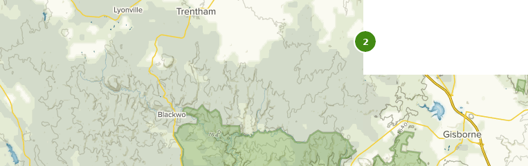 Best Trails in Wombat State Forest - Victoria, Australia | AllTrails