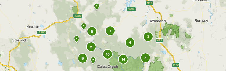Best 10 Trails in Wombat State Forest | AllTrails