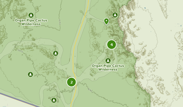 Best Trails in Organ Pipe Cactus National Monument - Arizona | AllTrails