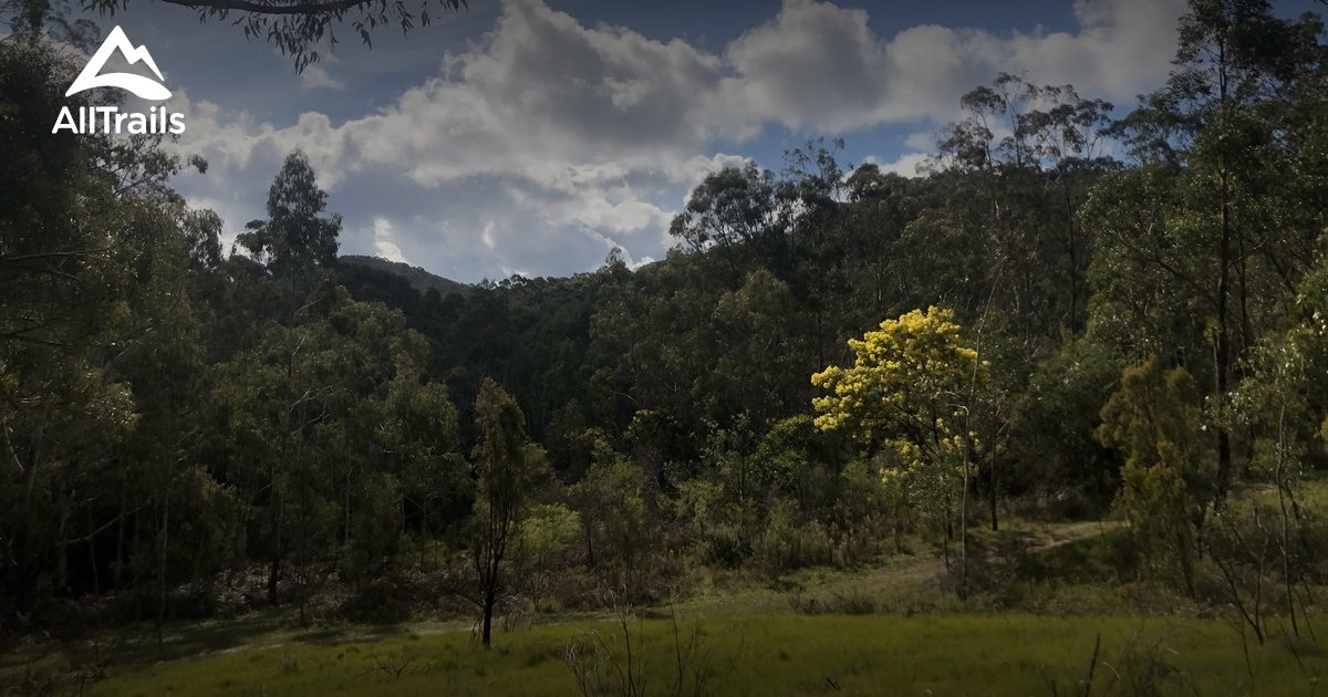 Best hikes and trails in Mount George Conservation Park | AllTrails