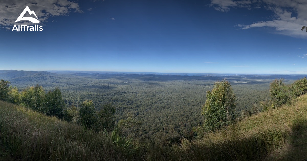 Best hikes and trails in Awaba State Forest | AllTrails