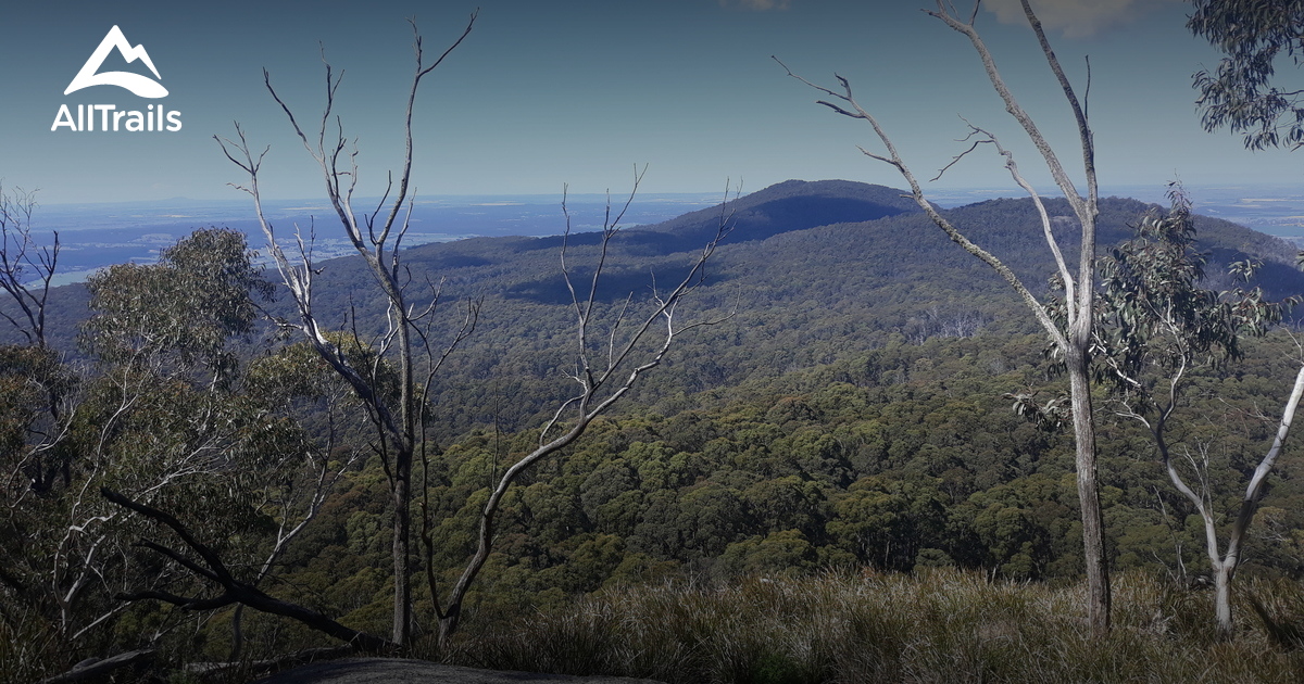 Best Trails in Mount Cole State Forest - Victoria, Australia | AllTrails