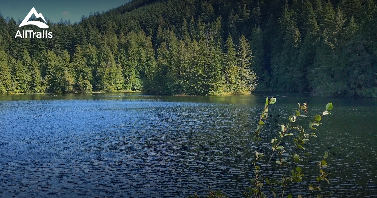 Best Trails in Sumas Mountain Regional Park - British Columbia, Canada ...