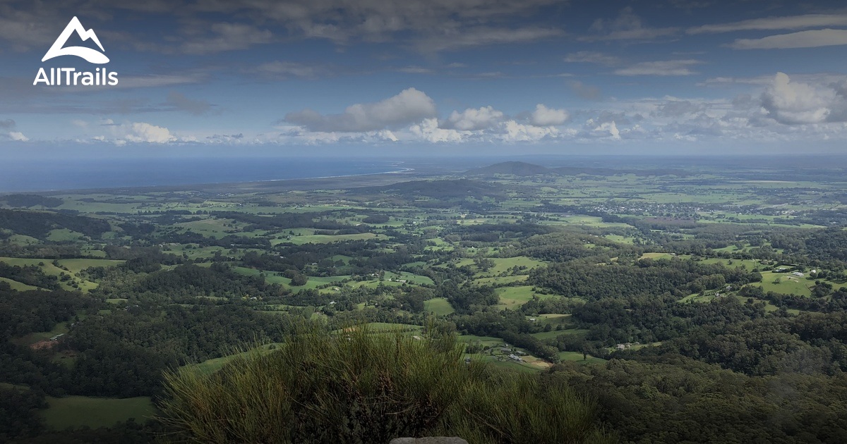Best walking trails in Barren Grounds Nature Reserve | AllTrails