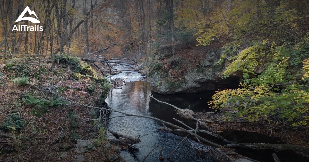 Best hikes and trails in North Farms Park | AllTrails