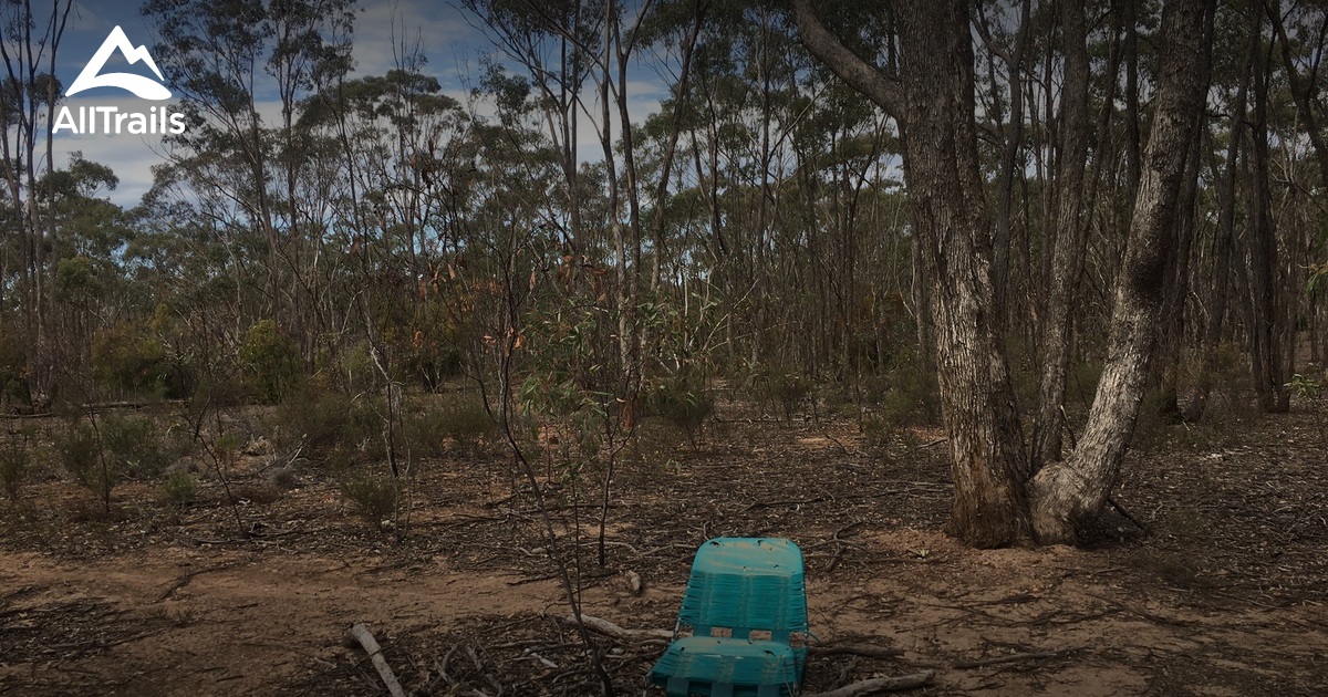 Best Trails in Muckleford Bush Reserve - Victoria, Australia | AllTrails
