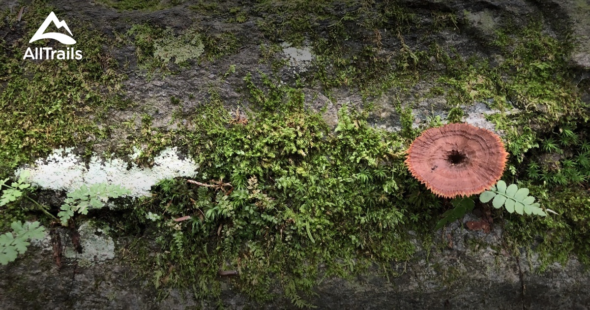 Best hikes and trails in High Ledges Wildlife Sanctuary | AllTrails