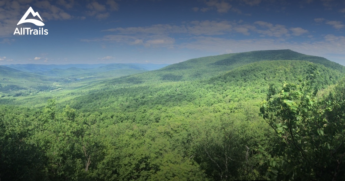 Best Trails in Elm Ridge Wild Forest - New York | AllTrails