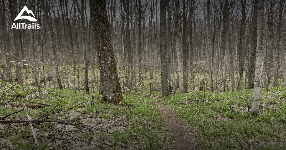 Best hikes and trails in Charles A. Ransom Nature Preserve | AllTrails