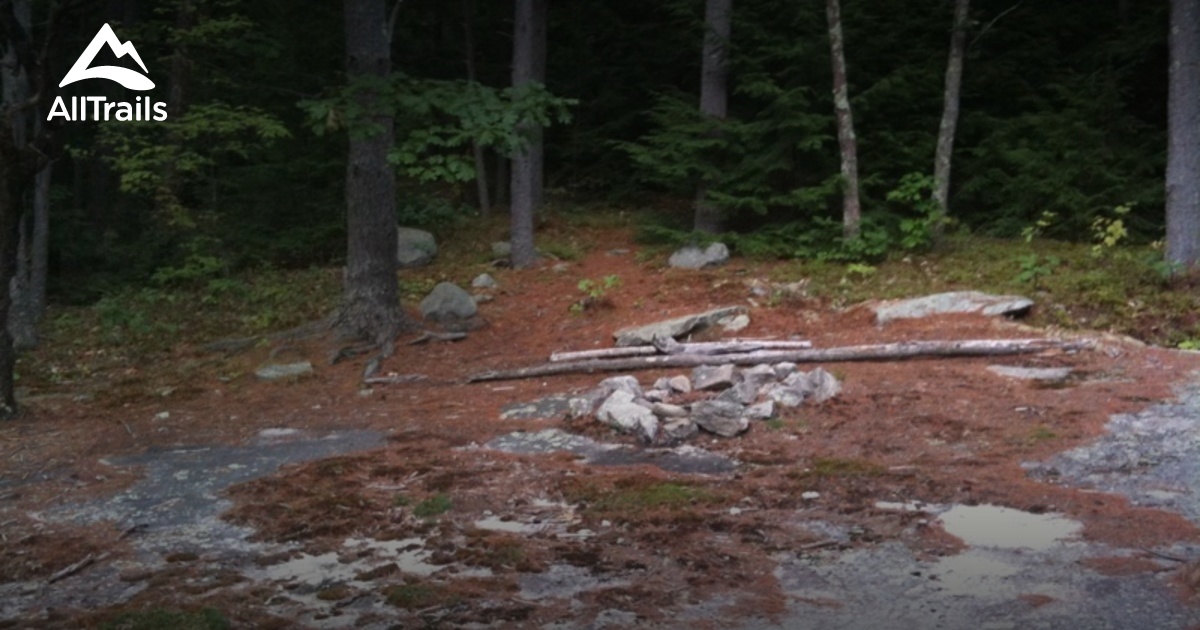 Bästa enkla lederna i Patch HIll Conservation Area | AllTrails