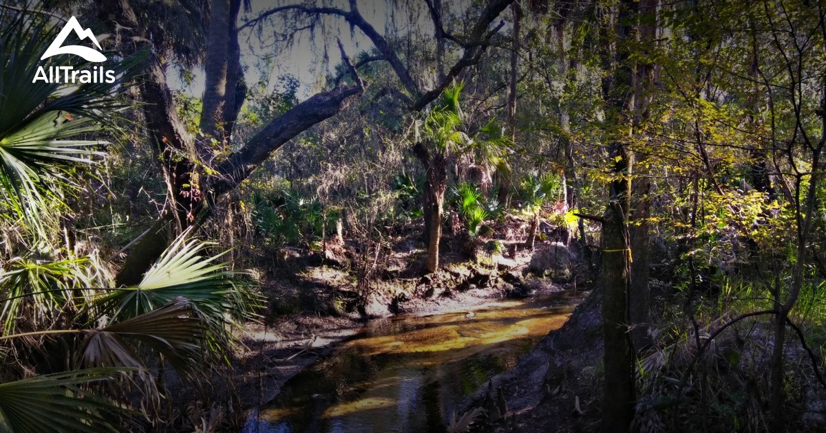 Best Trails in Fish Hawk Nature Preserve North - Florida | AllTrails
