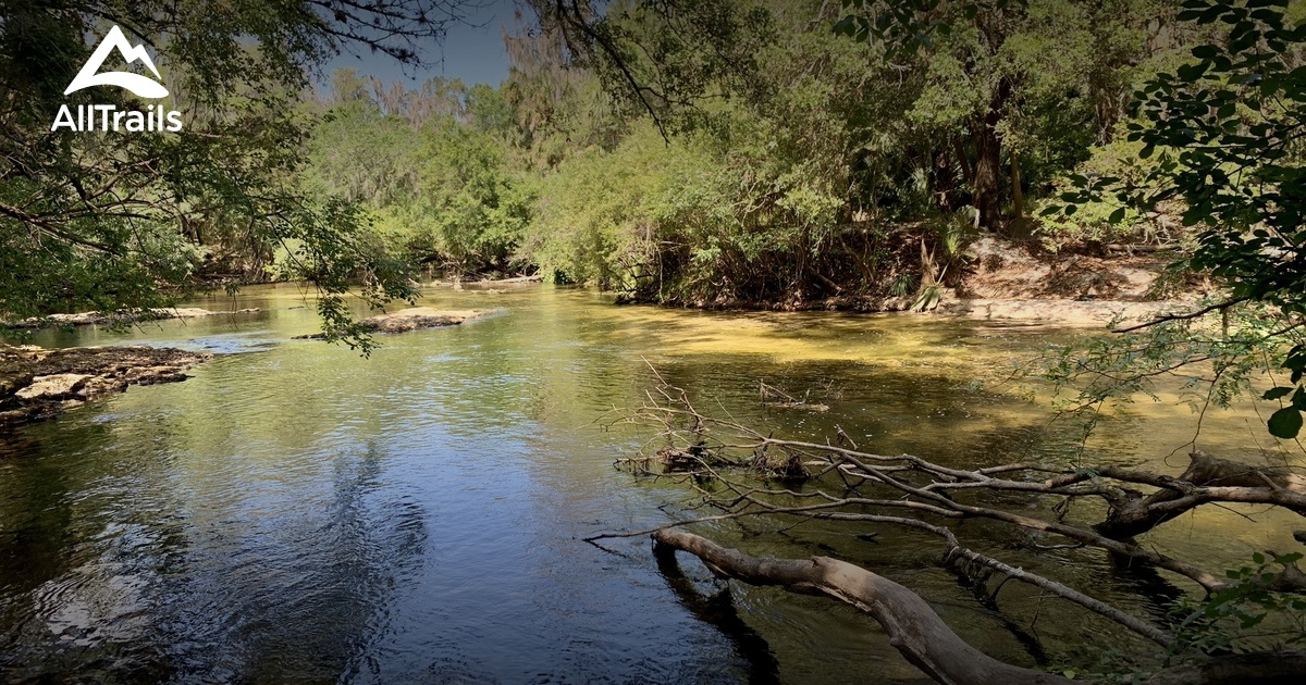 Best trails in Fish Hawk Nature Preserve North, Florida | AllTrails
