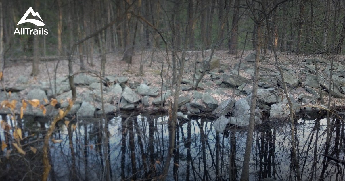 Best hikes and trails in Mayflower Hill Town Forest | AllTrails