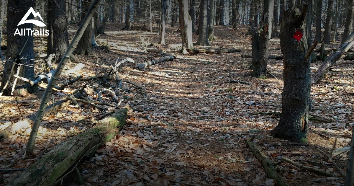 Best hikes and trails in Remick Preserve | AllTrails