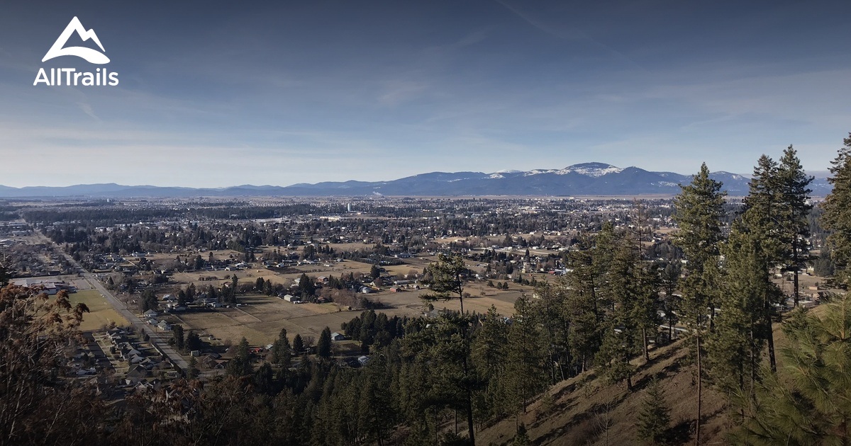 Best forest trails in Canfield Mountain Natural Area | AllTrails