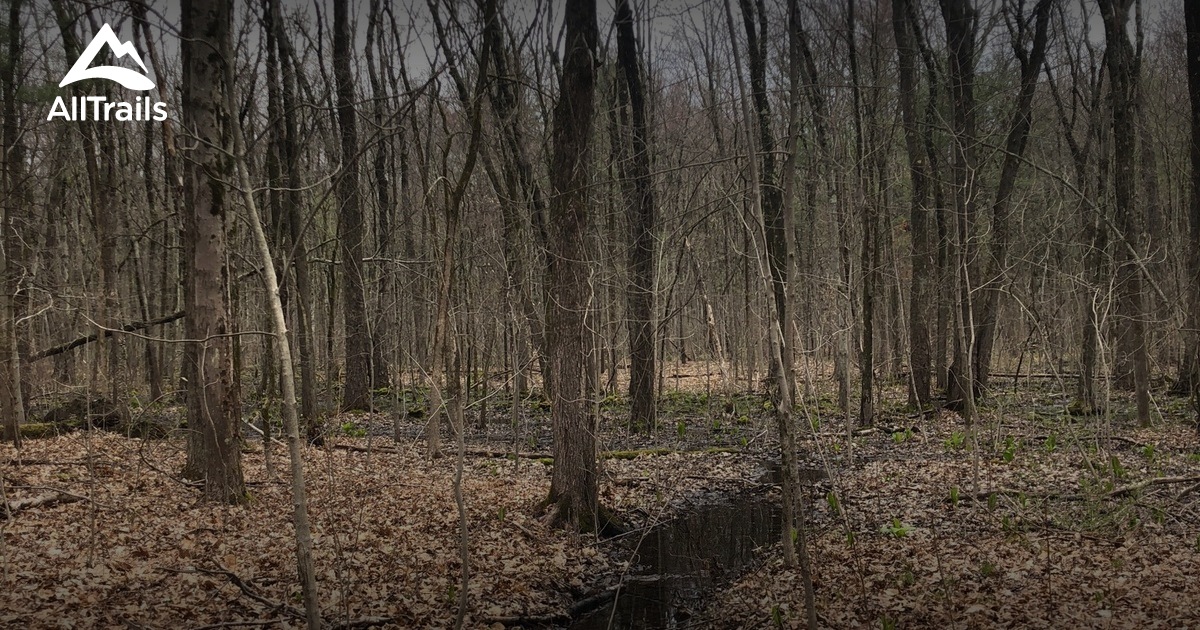 Best hikes and trails in Ushers Road State Forest | AllTrails