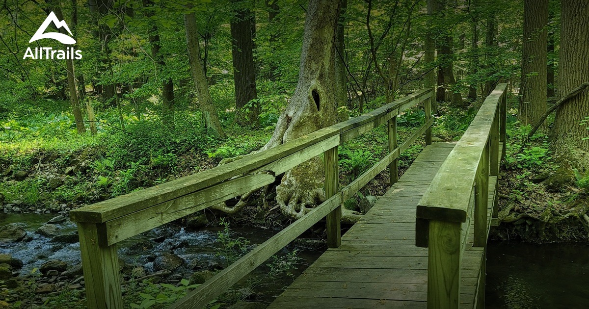 Los mejores senderos de corta longitud en Roaring Rock Park | AllTrails