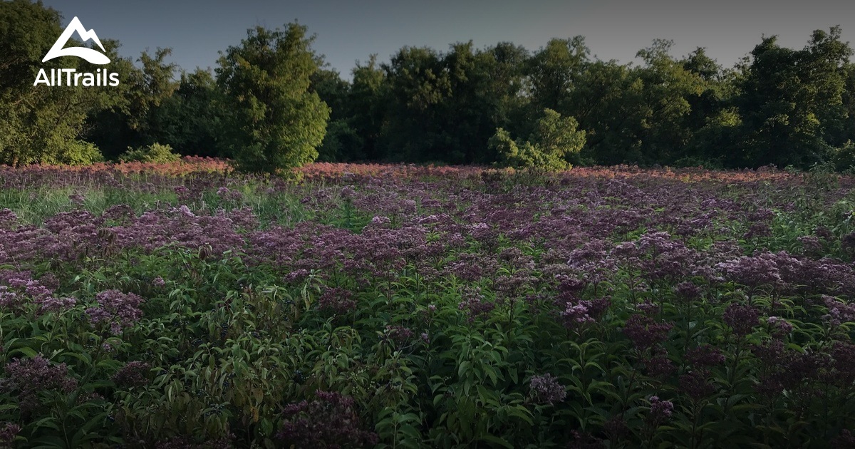 Best hikes and trails in Major's Park | AllTrails