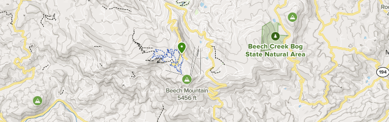 Best Hikes and Trails in Emerald Outback Trail System | AllTrails