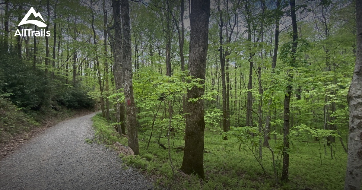 Best Trails in Caesars Head State Park - South Carolina | AllTrails