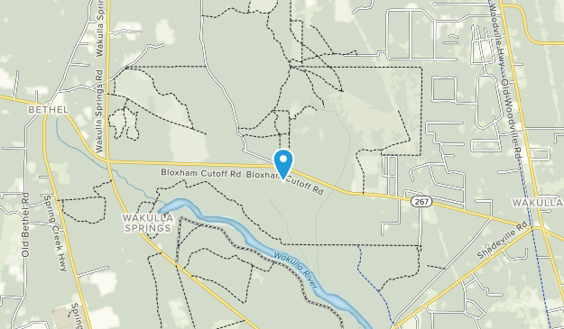 Best Trails in Wakulla State Forest - Florida | AllTrails