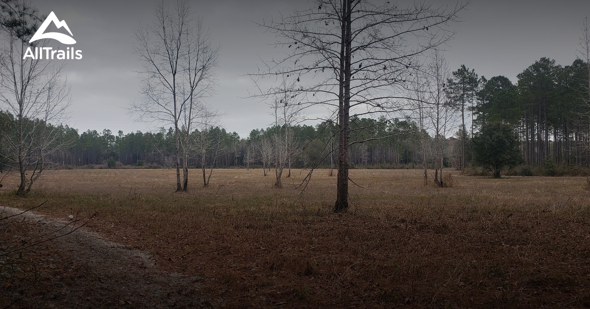 Wakulla State Forest: de beste routes om te wandelen | AllTrails