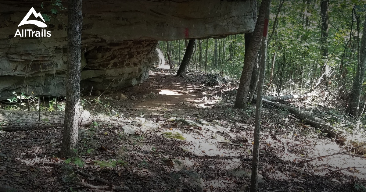 Best hikes and trails in Comer Scout Reservation | AllTrails