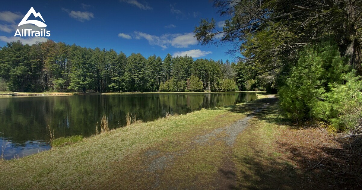 I migliori sentieri moderati in Porter Howard Watershed Land | AllTrails