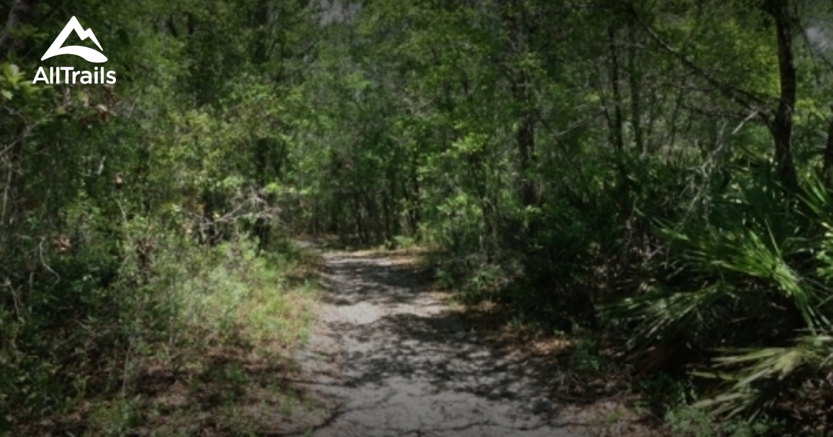 Best Trails in Goethe State Forest - Florida | AllTrails