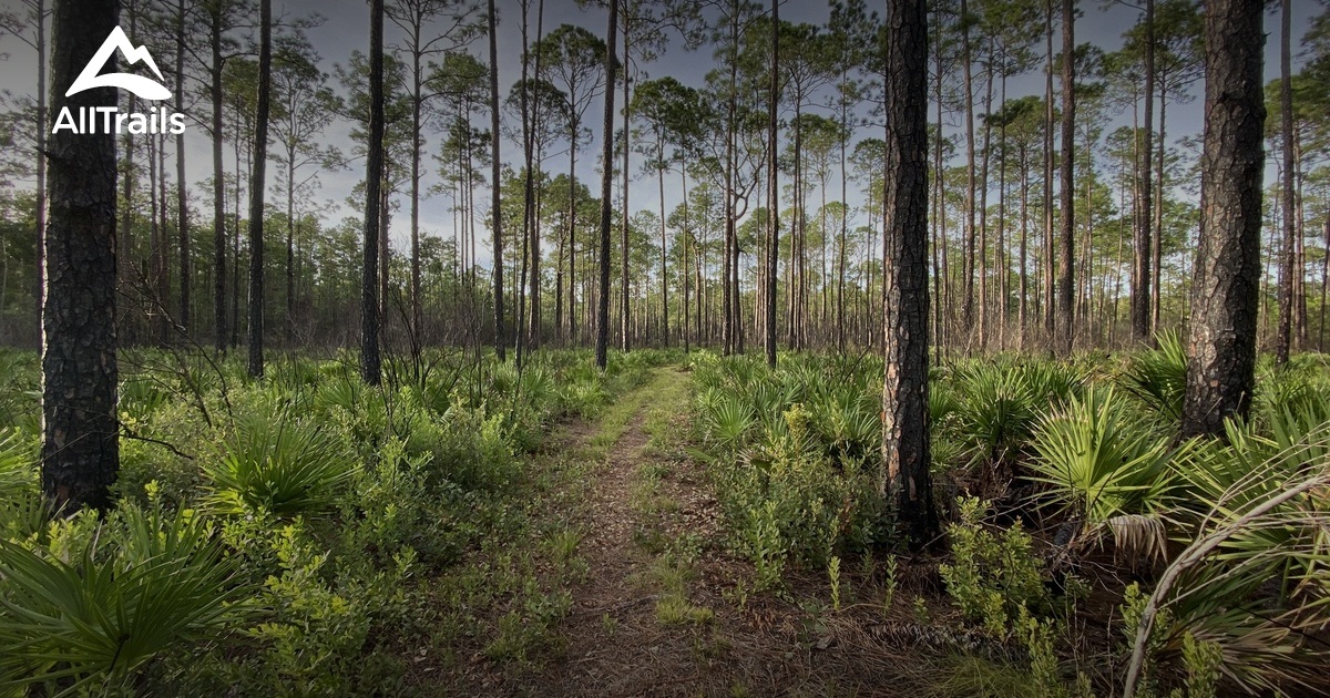 Best Trails in Goethe State Forest - Florida | AllTrails