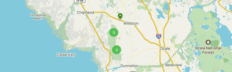 Best 10 Hikes and Trails in Goethe State Forest | AllTrails