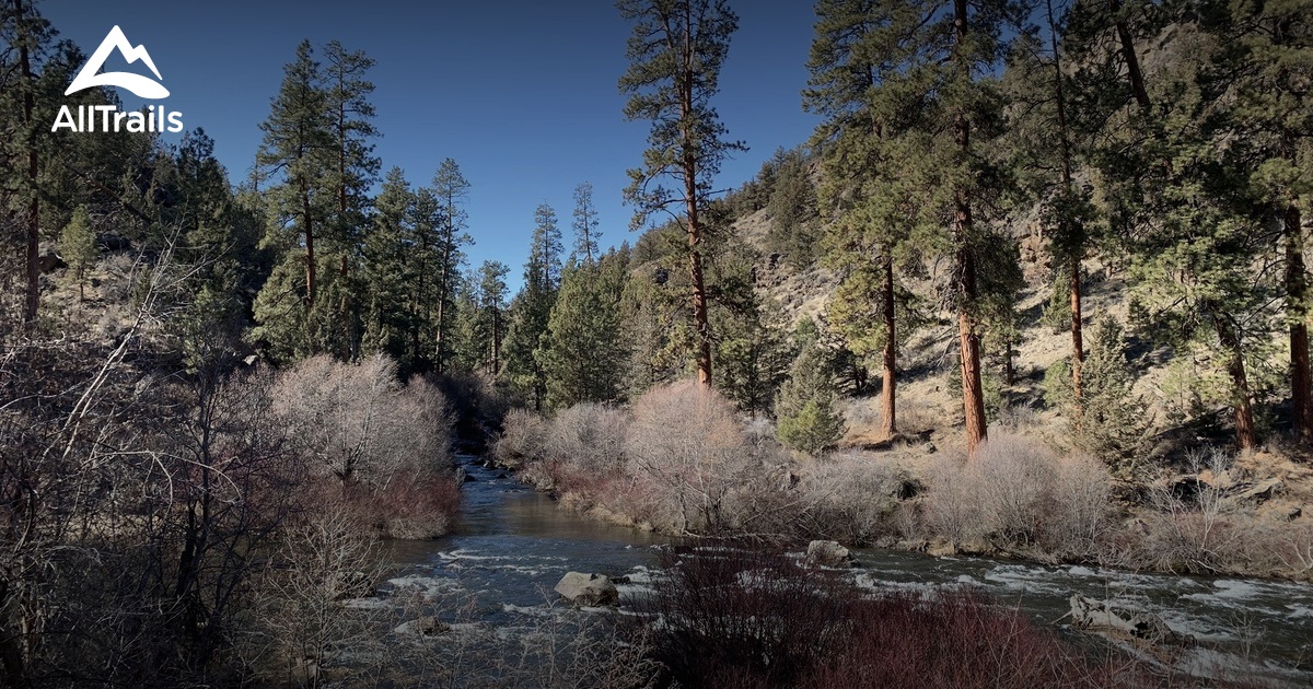 Best hikes and trails in Riley Ranch Nature Reserve | AllTrails