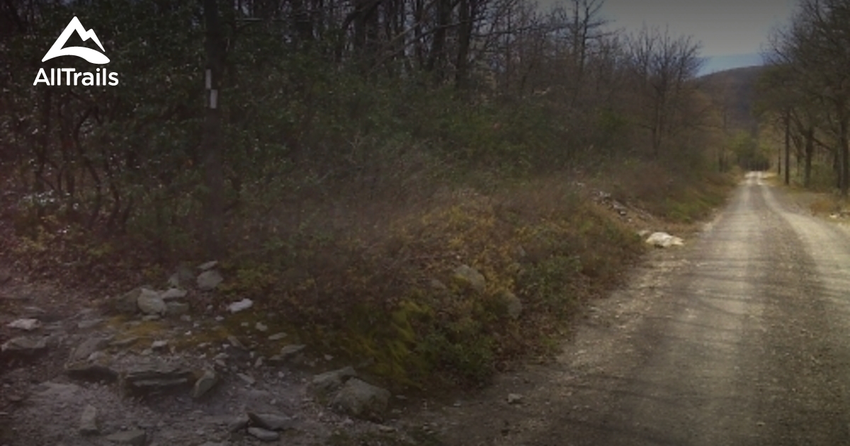Best Trails in Michaux State Forest - Pennsylvania | AllTrails
