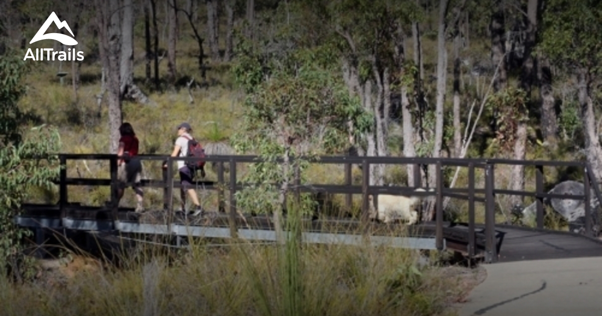 Bedste skovruter i Crooked Brook Forest | AllTrails