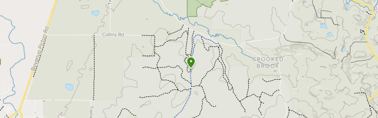Best Hikes and Trails in Crooked Brook Forest | AllTrails