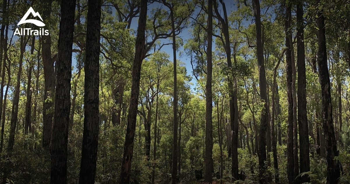 Bedste ruter med udsigt i Golden Valley Tree Park | AllTrails