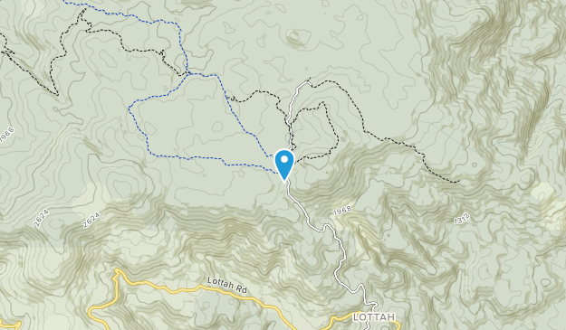 Best Trails in Blue Tier Regional Reserve - Tasmania, Australia | AllTrails